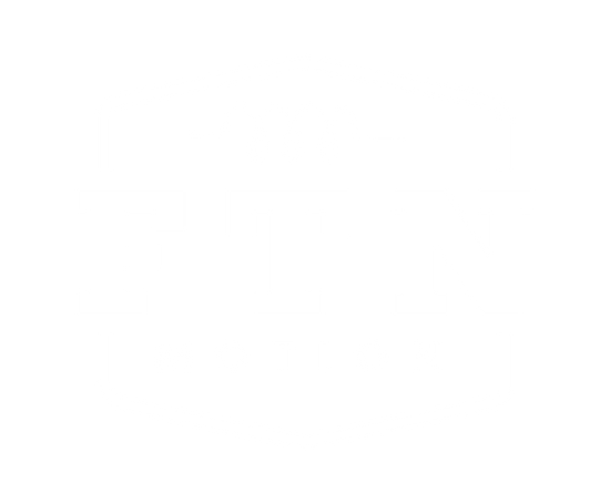 FTN Motion | Streetdog Electric Motorbike