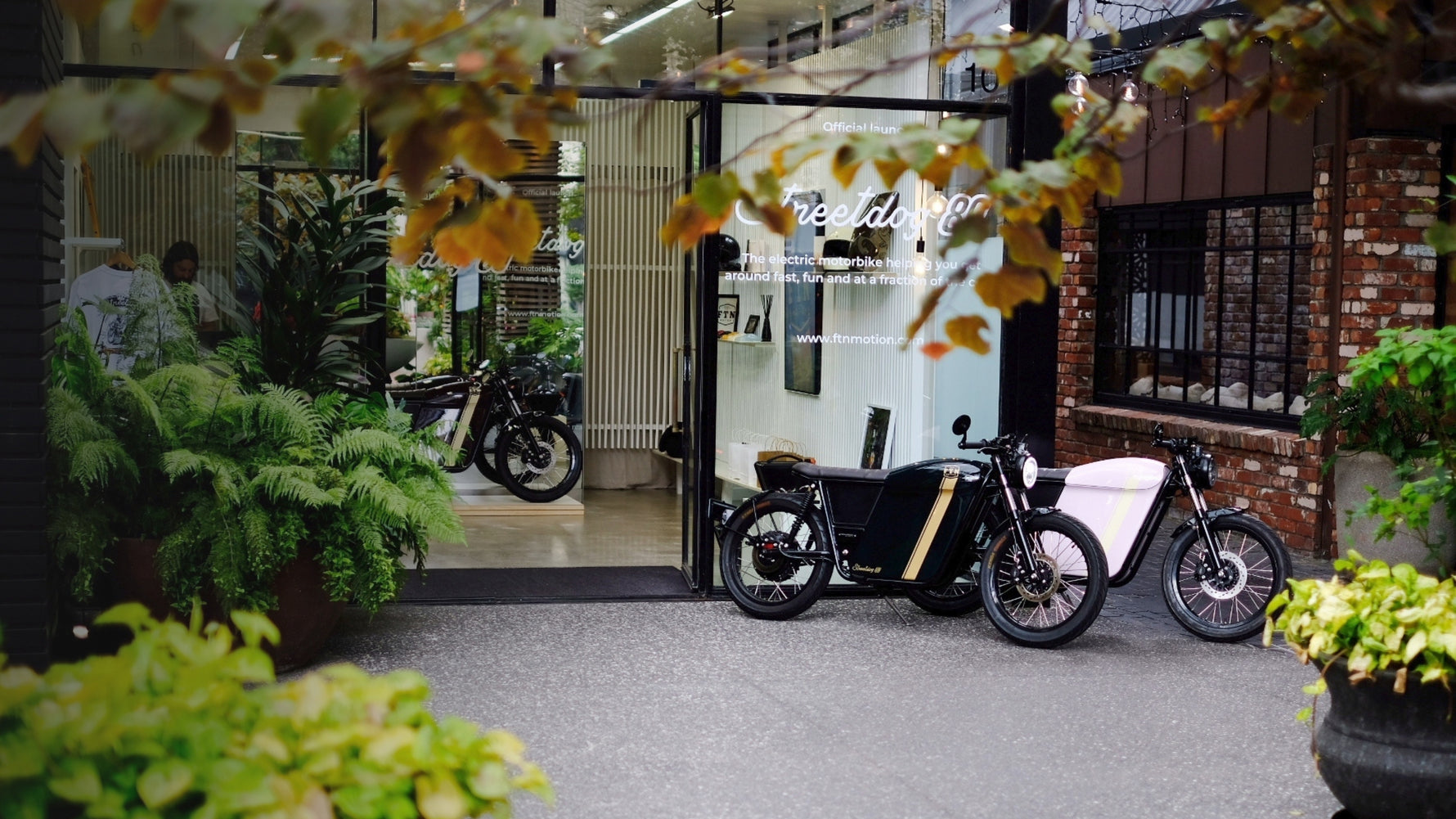 FTN Motion | Streetdog Electric Motorbike